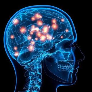 Telegram Group DataBase - New York,Colorado,California, Vermont,Ohio,Texas,Washington, Florida ...